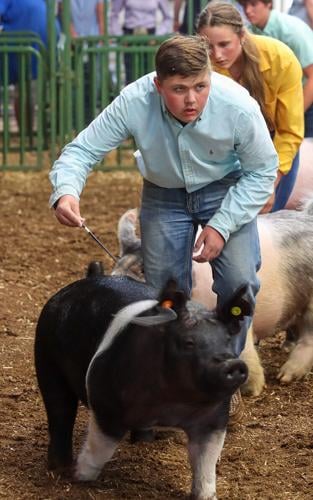 Cocanower cleans up at White County Swine Show | Agriculture | newsbug.info