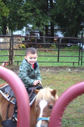 Courage Rock hosts Horsetober Fest | News | newsbug.info
