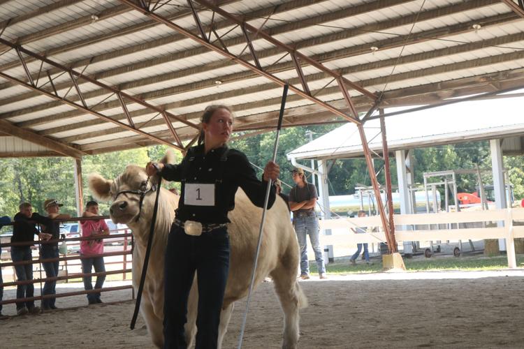 Iroquois County Fair Master Showman competition | Photos | newsbug.info