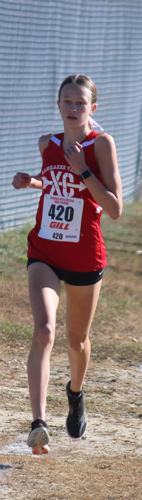 Walker 7th at first state finals, Hoffman finishes in top 50 in boys ...