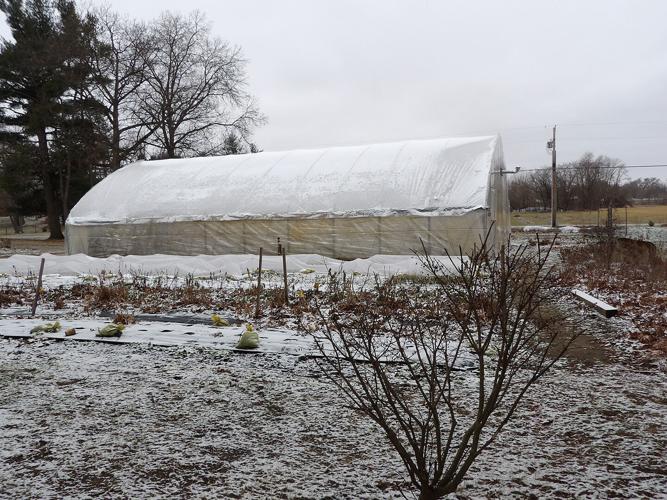 Collier Row Cottage Flower Farm offers fresh floral arrangements and ...