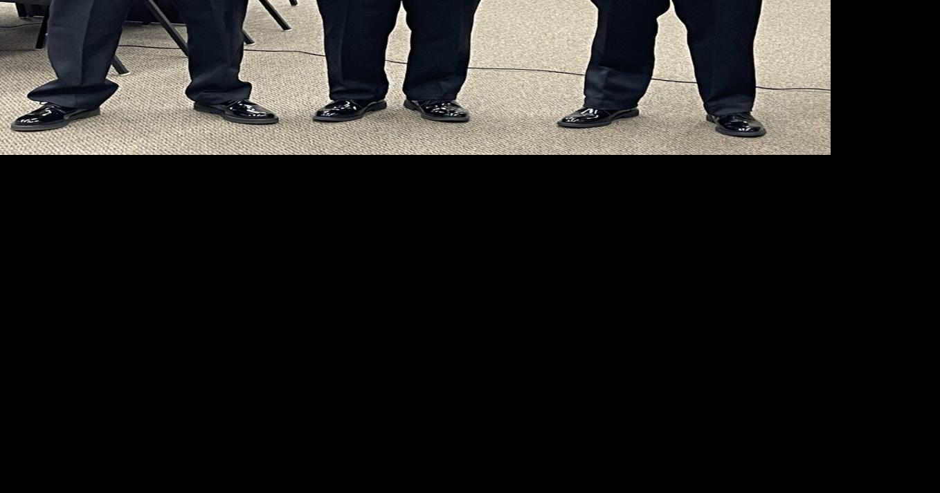 Two Watseka officers earn promotions | News | newsbug.info