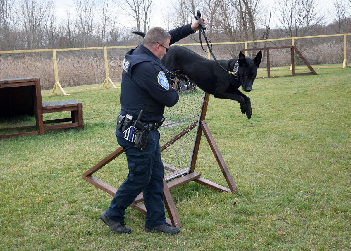 PHOTOS: Police K-9s try out the new obstacle course in White County ...