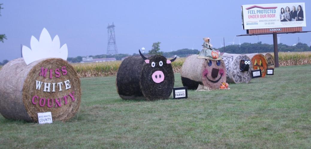 Belstra Fall Festival Hay Bale Contest Supporting American Cancer ...
