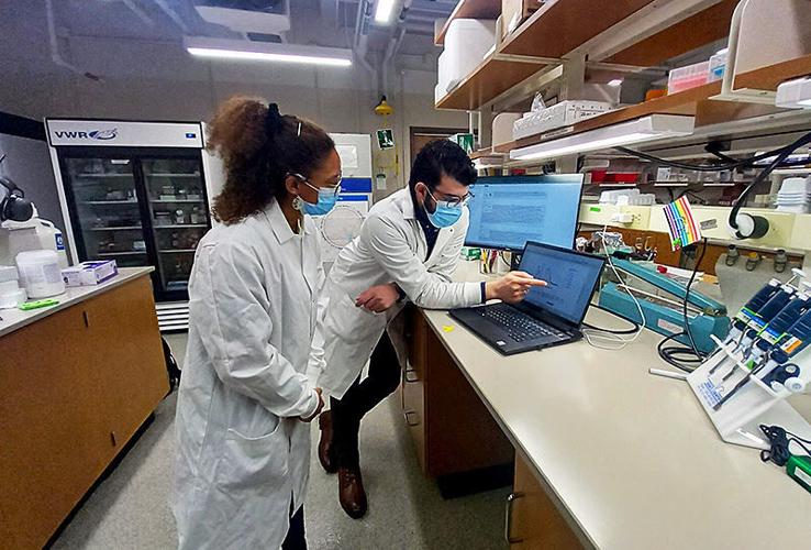 Purdue develops plant-based compounds to treat alcohol use disorder ...