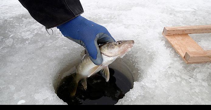 The First Annual Walleye War | Newton County Enterprise | newsbug.info