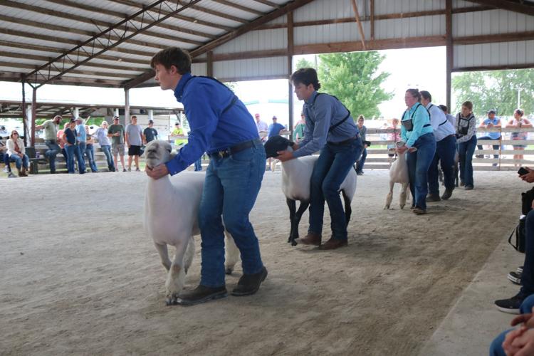Iroquois County Fair Master Showman competition 2023 | Photos | newsbug ...