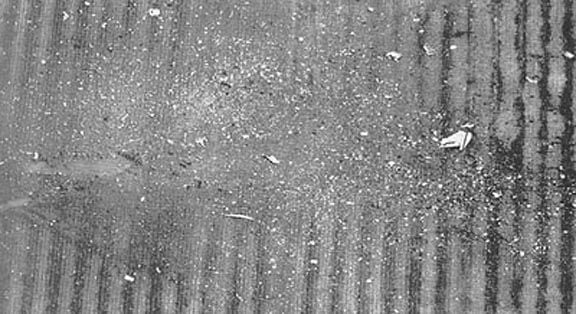 Disaster in the skies: Flight 4184 | News | newsbug.info