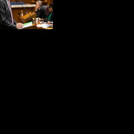 Culp, fellow legislators bring balance to state's $44.5 billion budget ...