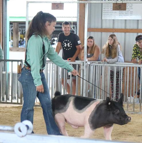 Iroquois County Fair Master Showman competition 2023 | Photos | newsbug ...
