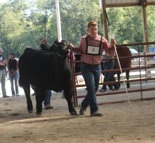 Iroquois County Fair Master Showman competition | Photos | newsbug.info