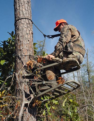 Follow the ABC's during Tree Stand Safety Awareness Month | Sports ...