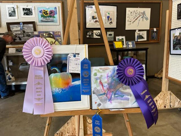A day at the Jasper County Fair | News | newsbug.info