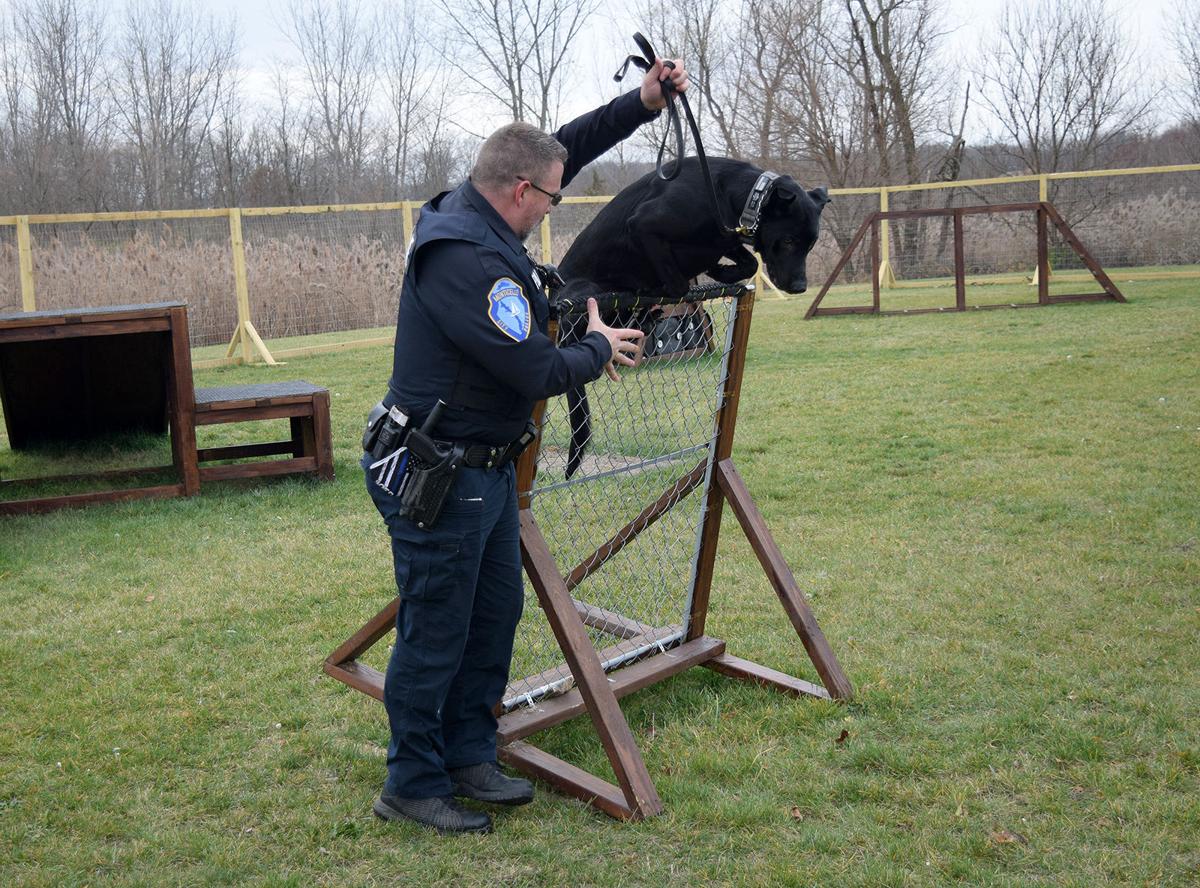 PHOTOS: Police K-9s try out the new obstacle course in White County ...