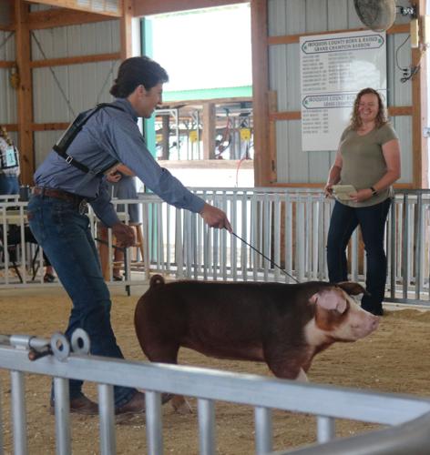 Iroquois County Fair Master Showman competition 2023 | Photos | newsbug ...