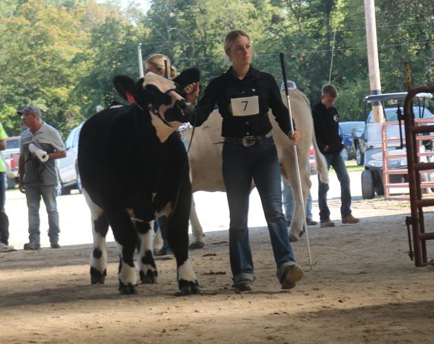 Iroquois County Fair Master Showman competition | Photos | newsbug.info