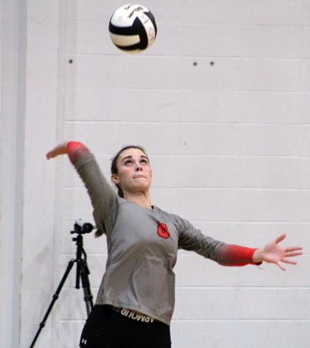 Rebels grab fourth straight sectional title | Sports | newsbug.info