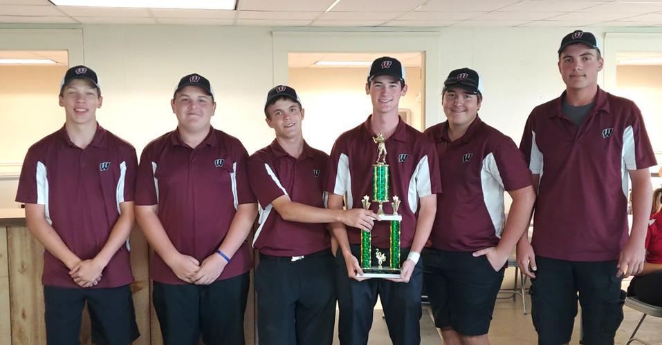 Watseka girls, boys clinch county golf tourney title | Iroquois County ...