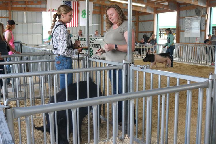 Iroquois County Fair Master Showman competition 2023 | Photos | newsbug ...