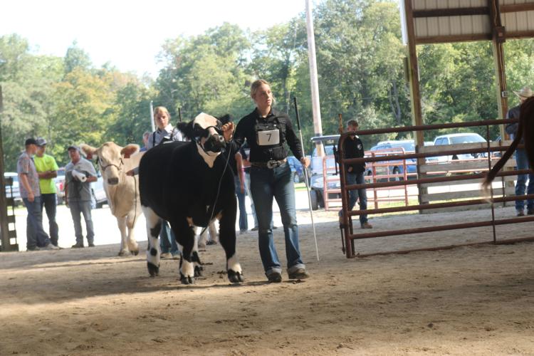 Iroquois County Fair Master Showman competition | Photos | newsbug.info