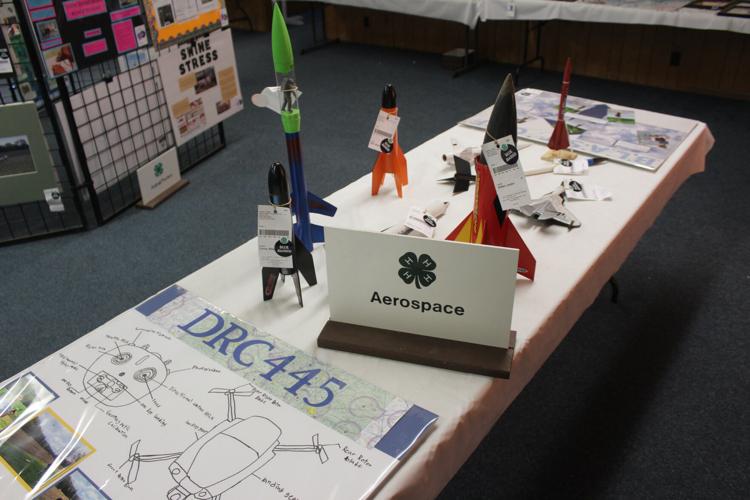 Warren County 4-H members showcase exhibits at Warren County Fair ...