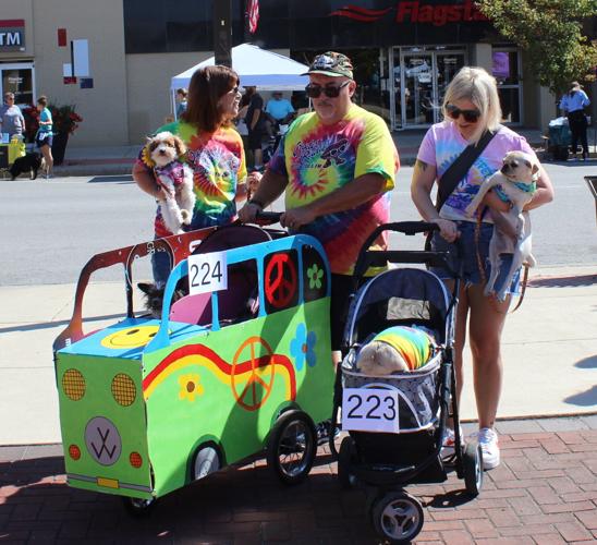 A perfect sunny day for Streets of Monticello Barktober Fest | News ...