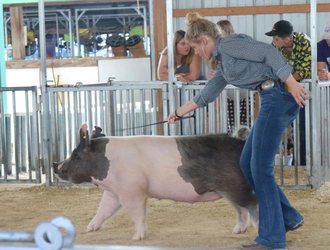 Iroquois County Fair Master Showman competition 2023 | Photos | newsbug ...
