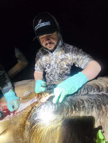 What to know before crossing state lines with game animals | Sports ...