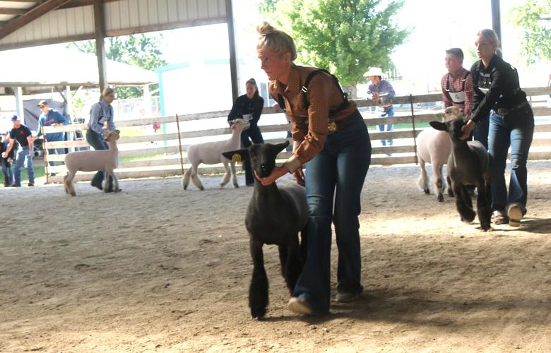 Iroquois County Fair Master Showman competition | Photos | newsbug.info