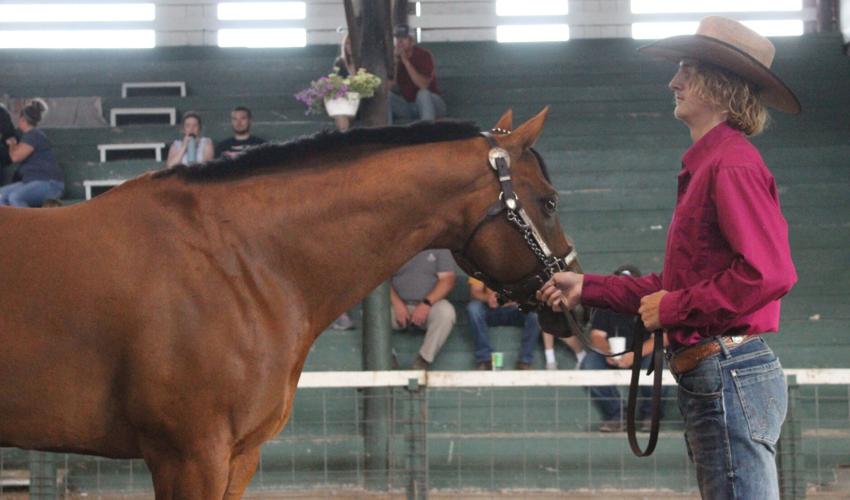 Swank named Supreme Showman at Warren County Fair | | newsbug.info