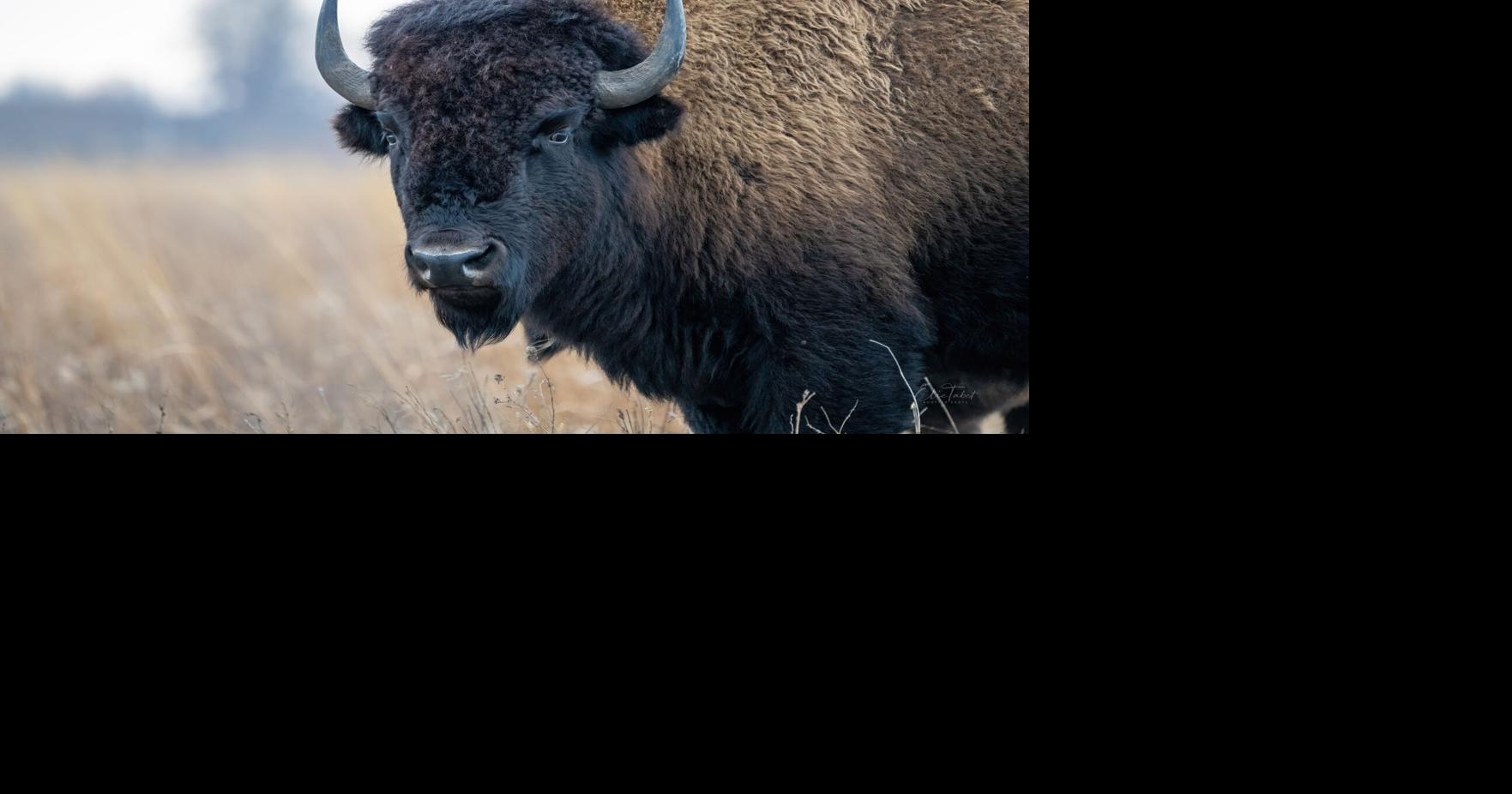 Heading South for the Spring | News | newsbug.info