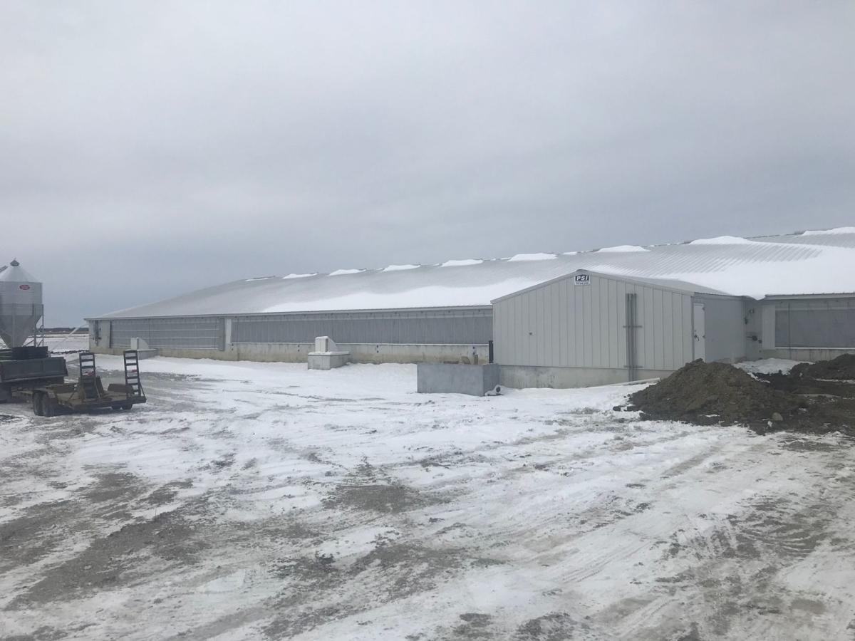 Leitz' hog finishing barn ready for first delivery | Iroquois County's ...