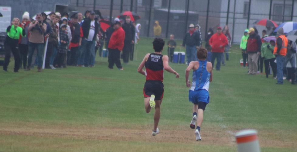 Sytsma, Ehrhardt win titles at revamped RCHS CC sectional | Sports ...