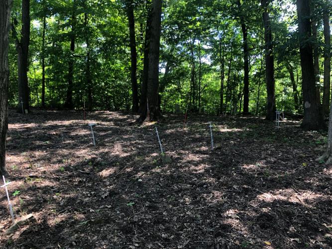 Kickapoo Cemetery gets cleaned up | WCINews | newsbug.info