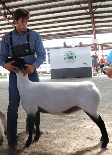 Iroquois County Fair Master Showman competition 2023 | Photos | newsbug ...