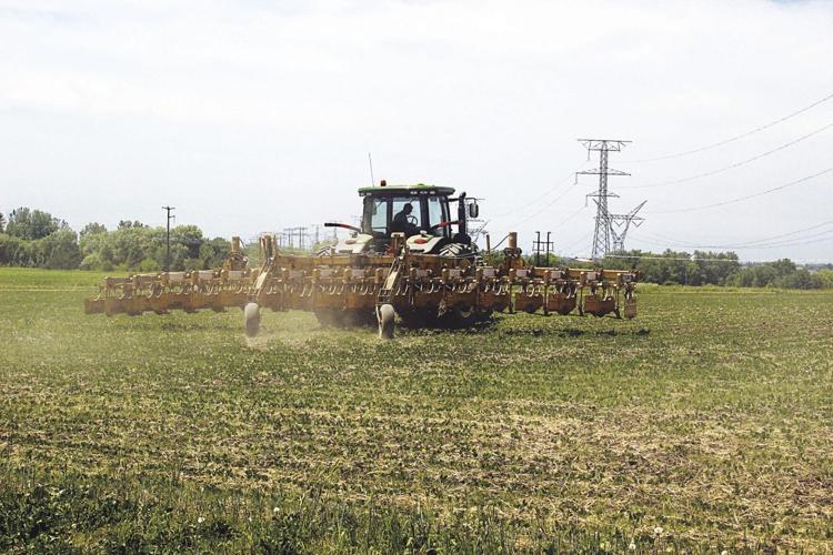 Tour bridges urban-rural gaps about conservation farming | Agriculture ...