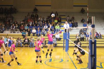 2014 All White County Volleyball team | Monticello Herald Journal ...