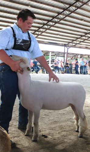 Iroquois County Fair Master Showman competition 2023 | Photos | newsbug ...