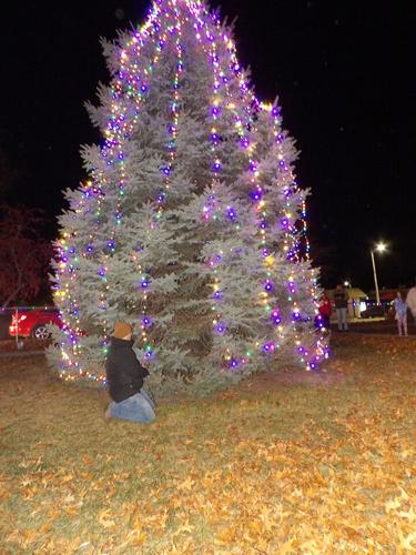 Wheatfield lights up for Christmas | News | newsbug.info