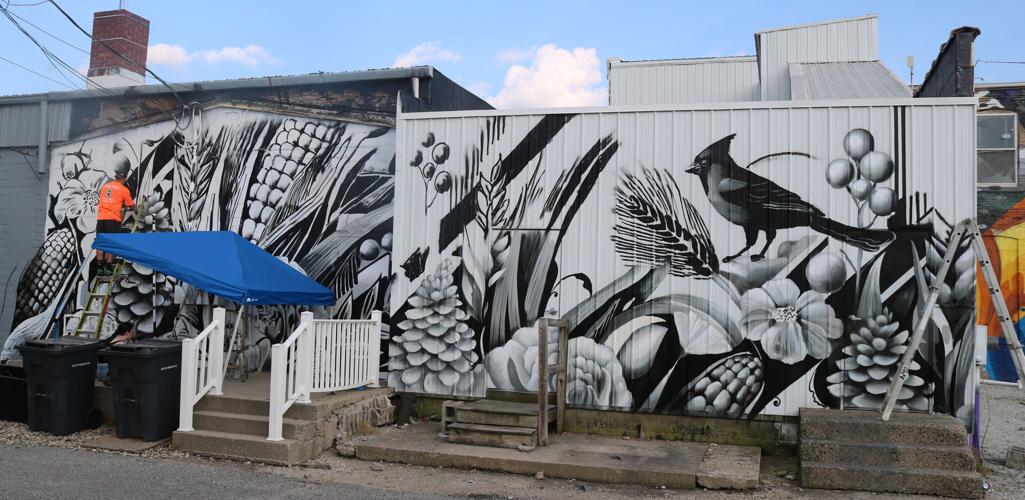 New mural added just in time for Art in the Alley | News | newsbug.info