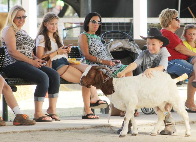 Klump wins Costume Goat Lead with country singer-inspired entry ...