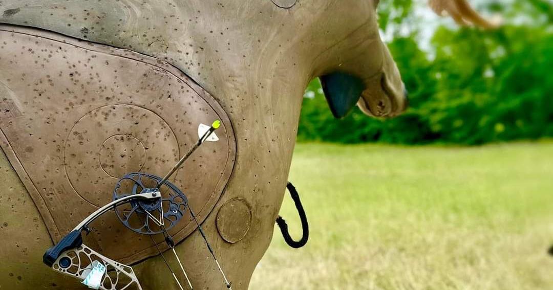 One shot to get it right this archery season | News | newsbug.info