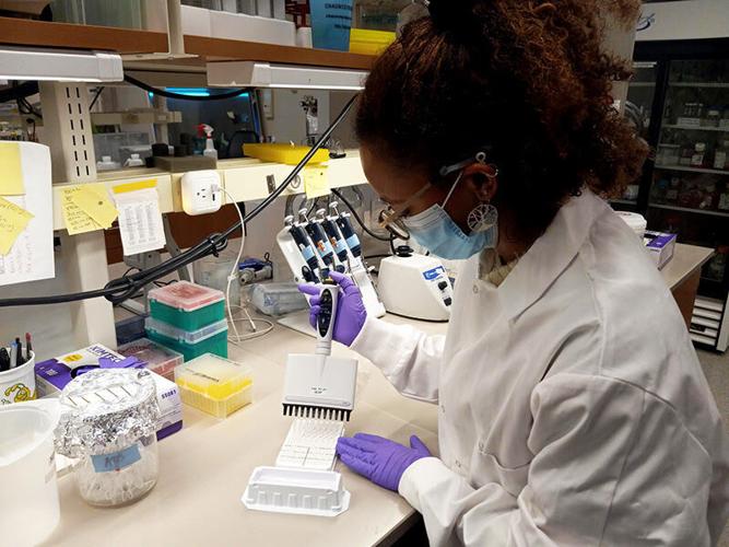 Purdue develops plant-based compounds to treat alcohol use disorder ...