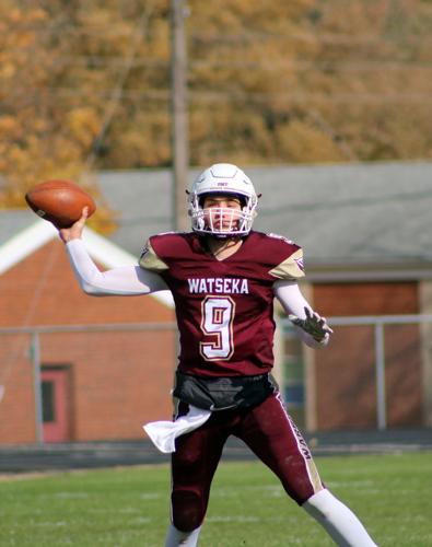 Watseka Warriors take down Tremont for playoff victory | Photos ...