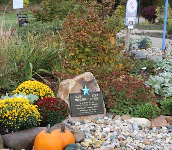 Blue Star Marker placed at Altherr Nature Park | News | newsbug.info