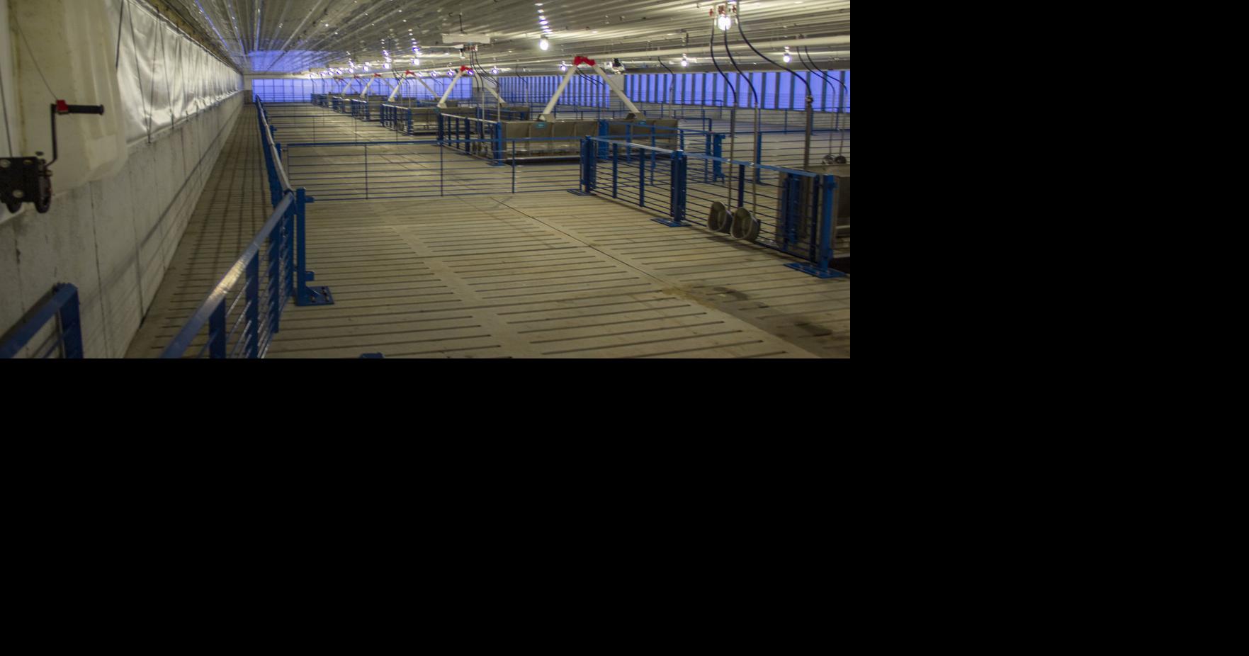 Leitz' hog finishing barn ready for first delivery | Iroquois County's ...