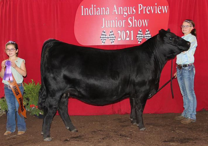 Korniak win 2 divisions at state's Angus Jr. Preview Show | News ...
