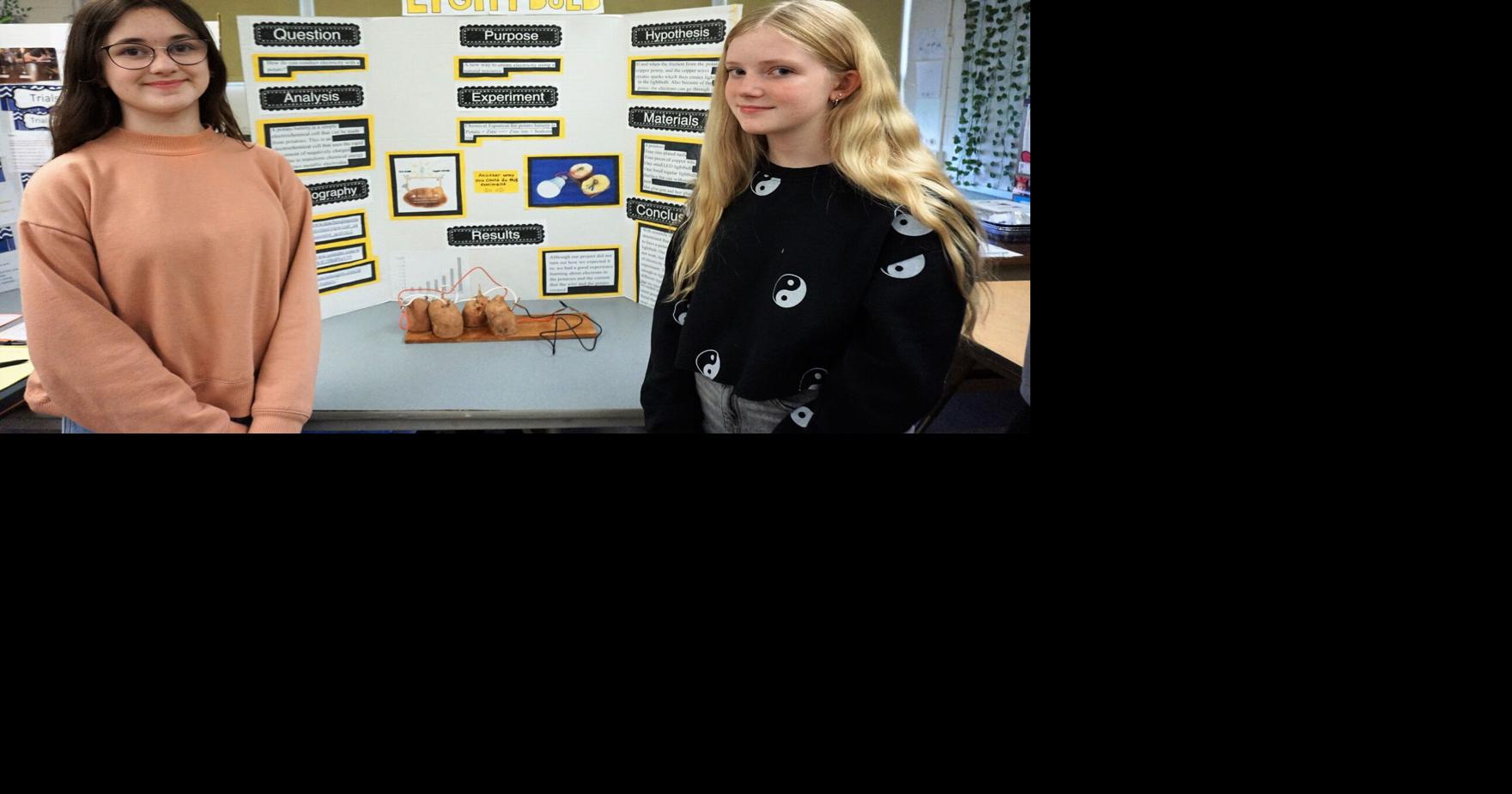 Potato Light Bulb Science Fair Project | Shelly Lighting