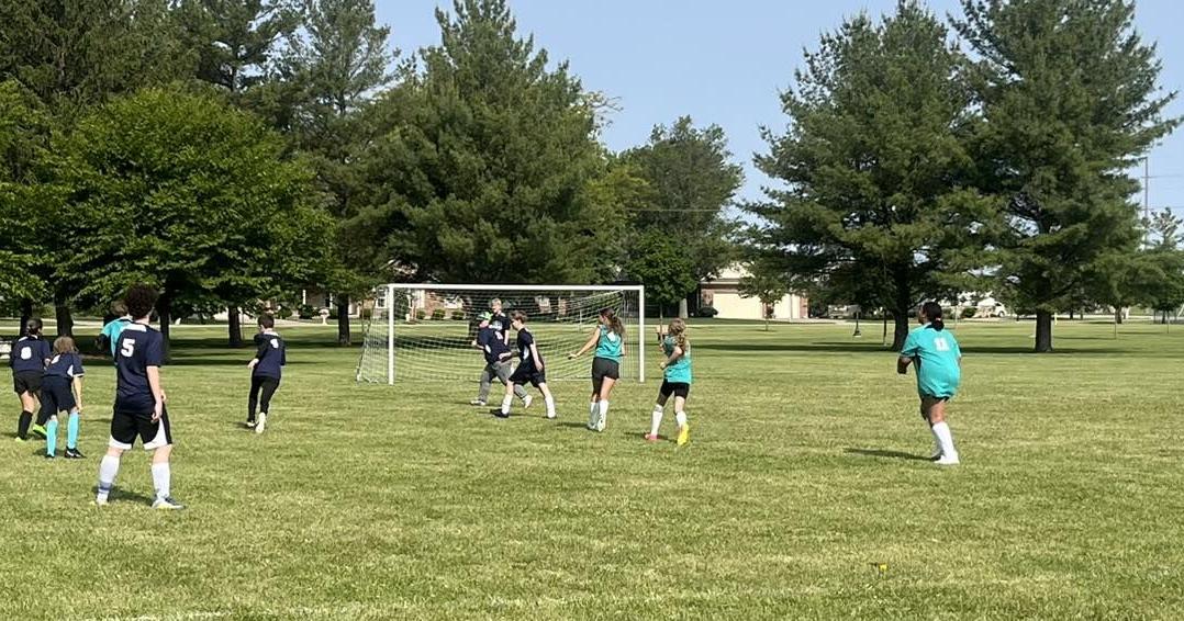 12 teams compete in Sheldon T.I.E.S. Sunday soccer | News | newsbug.info
