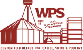 Wallace Performance Solutions celebrates rebranding, new technology ...